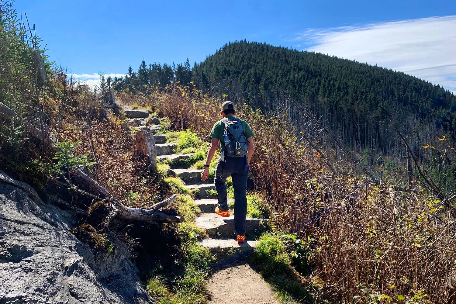 Mount Mitchell Eco Retreat