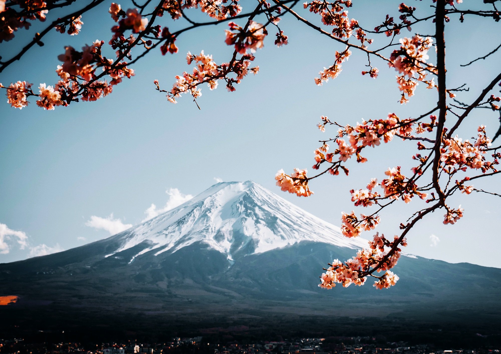 Kyushu, Japan — Travel Masters & The Travel Studio