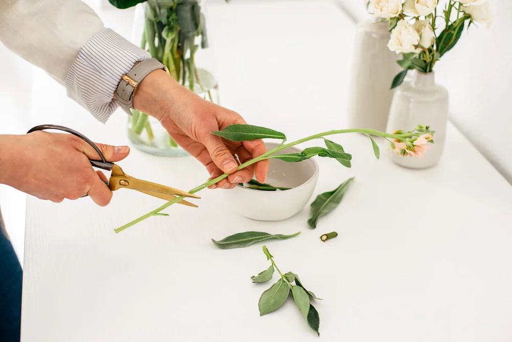 Shop | Floral Deliverease