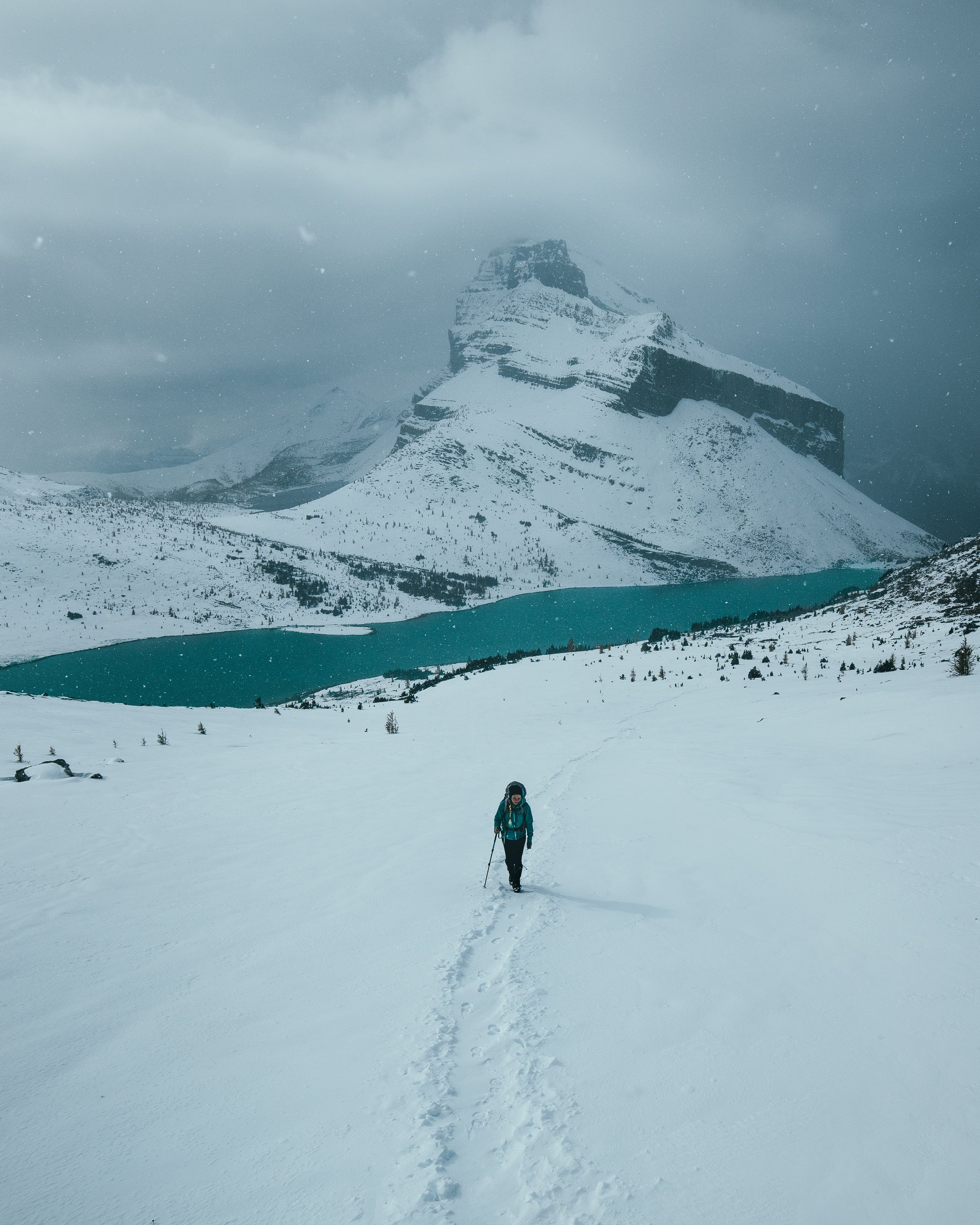 5 Reasons Winter is the Best Season — Kalen Emsley Photography
