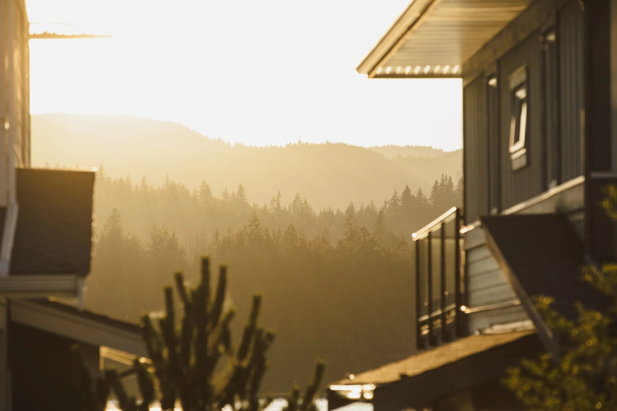 5 Reasons why Summer is the Best Season — Kalen Emsley Photography