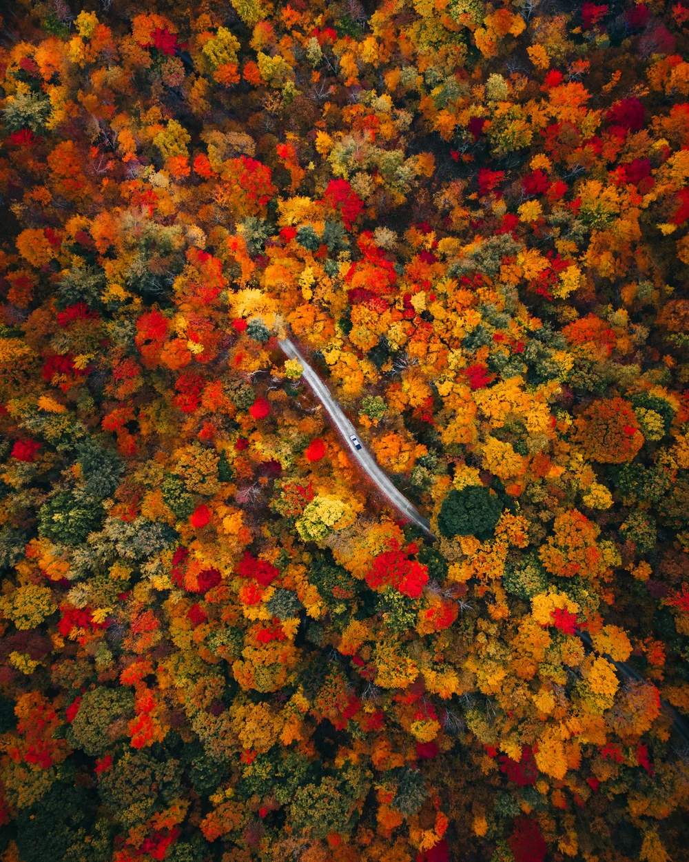 Kalen Emsley Photography