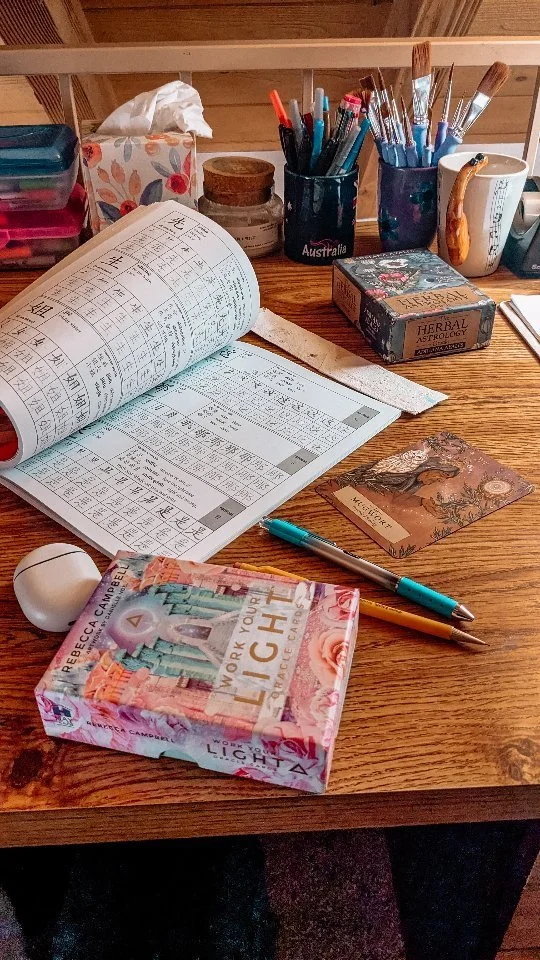 Study Shop — Sarah Vigil