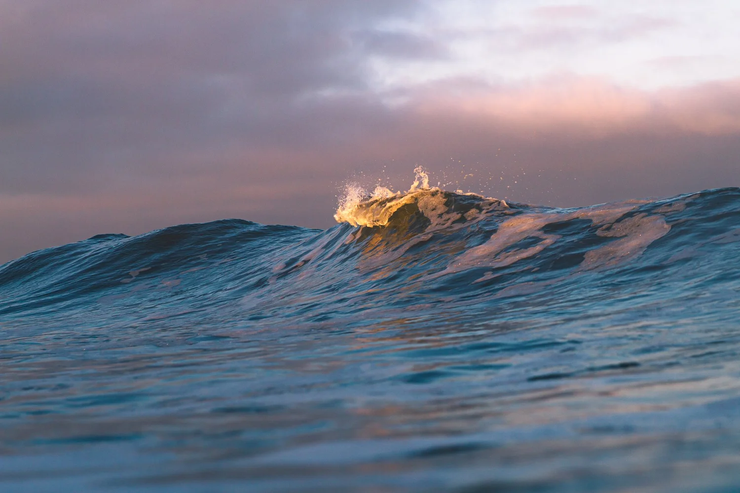 Pink Fin Photography