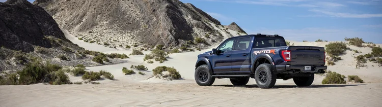 Ford (WPP) — The Cadence Assassin