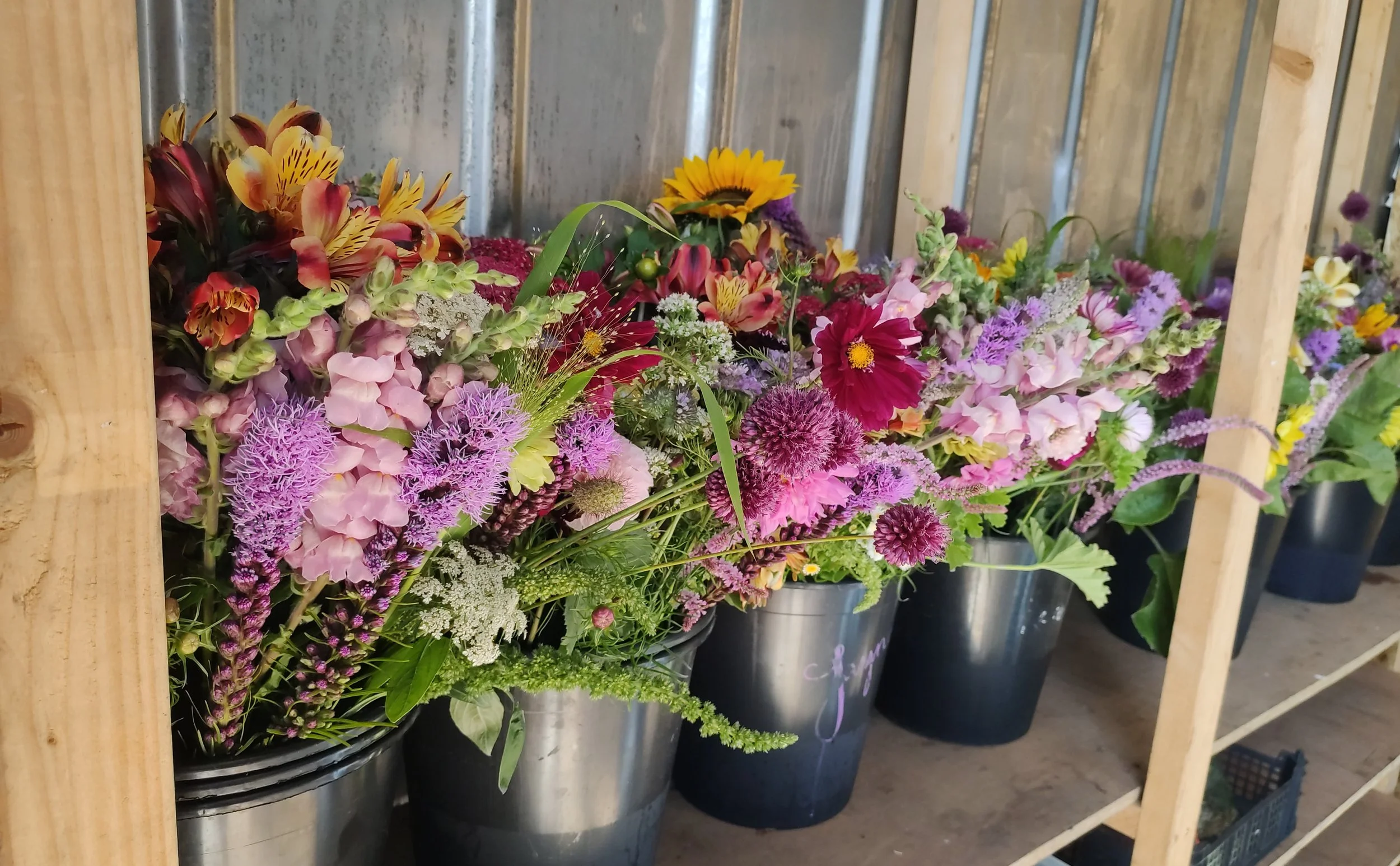 Petallica Flower Farm | Sustainably Grown in Gower