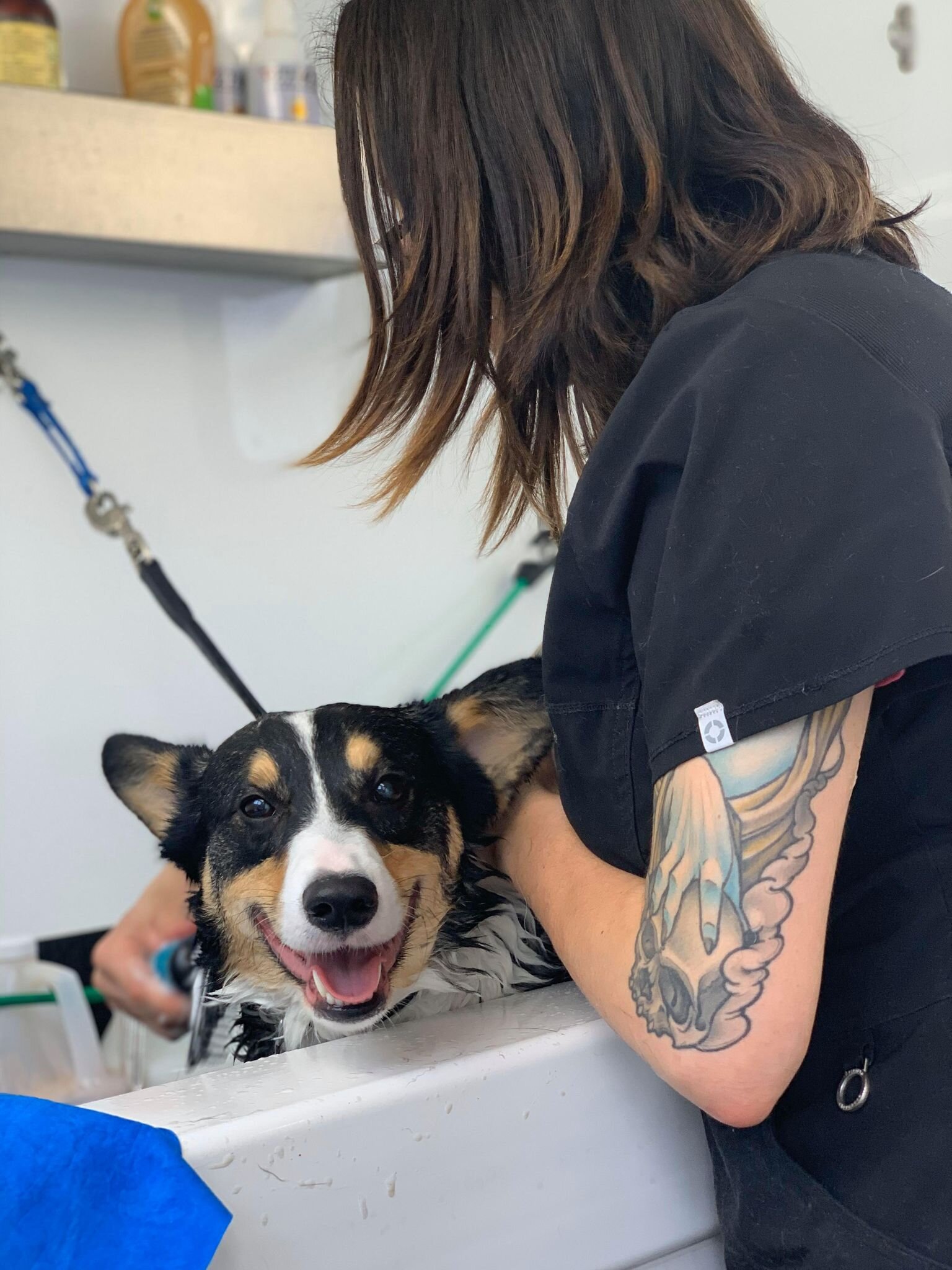 About — Ruff Riders Mobile Grooming