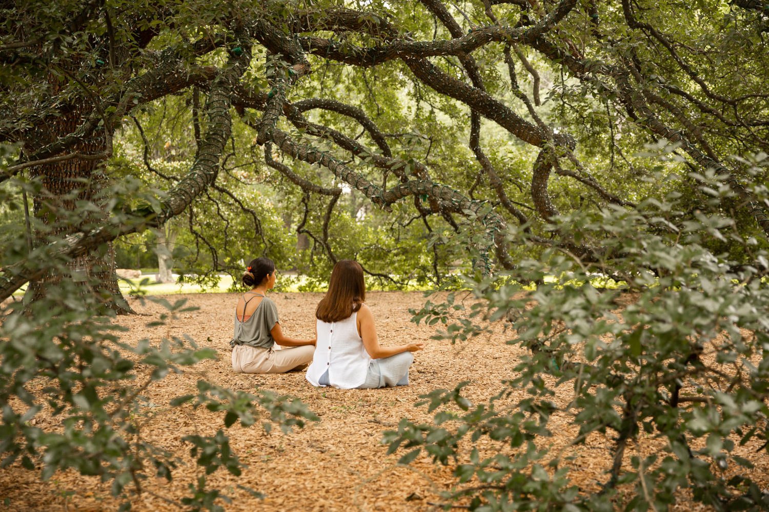 Web Design for Fitness, Wellness & Yoga Studios | Pixality