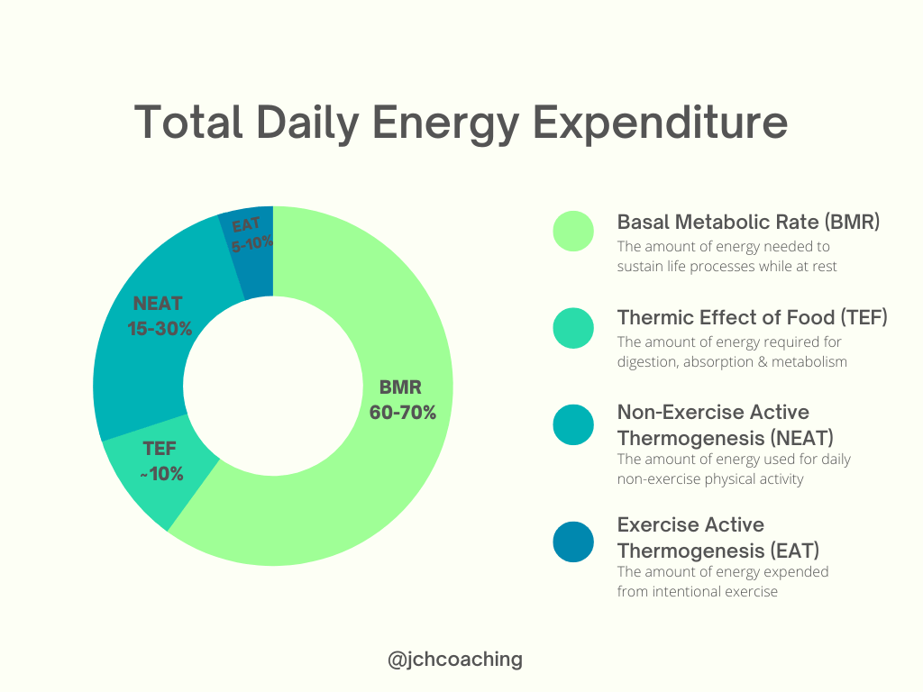 How Much Should You Eat? — JCH Coaching