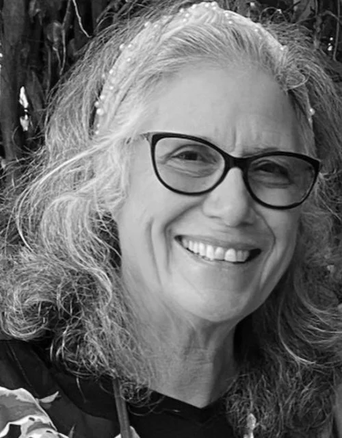 Susan Gesundheit — San Fernando Valley Arts & Cultural Center
