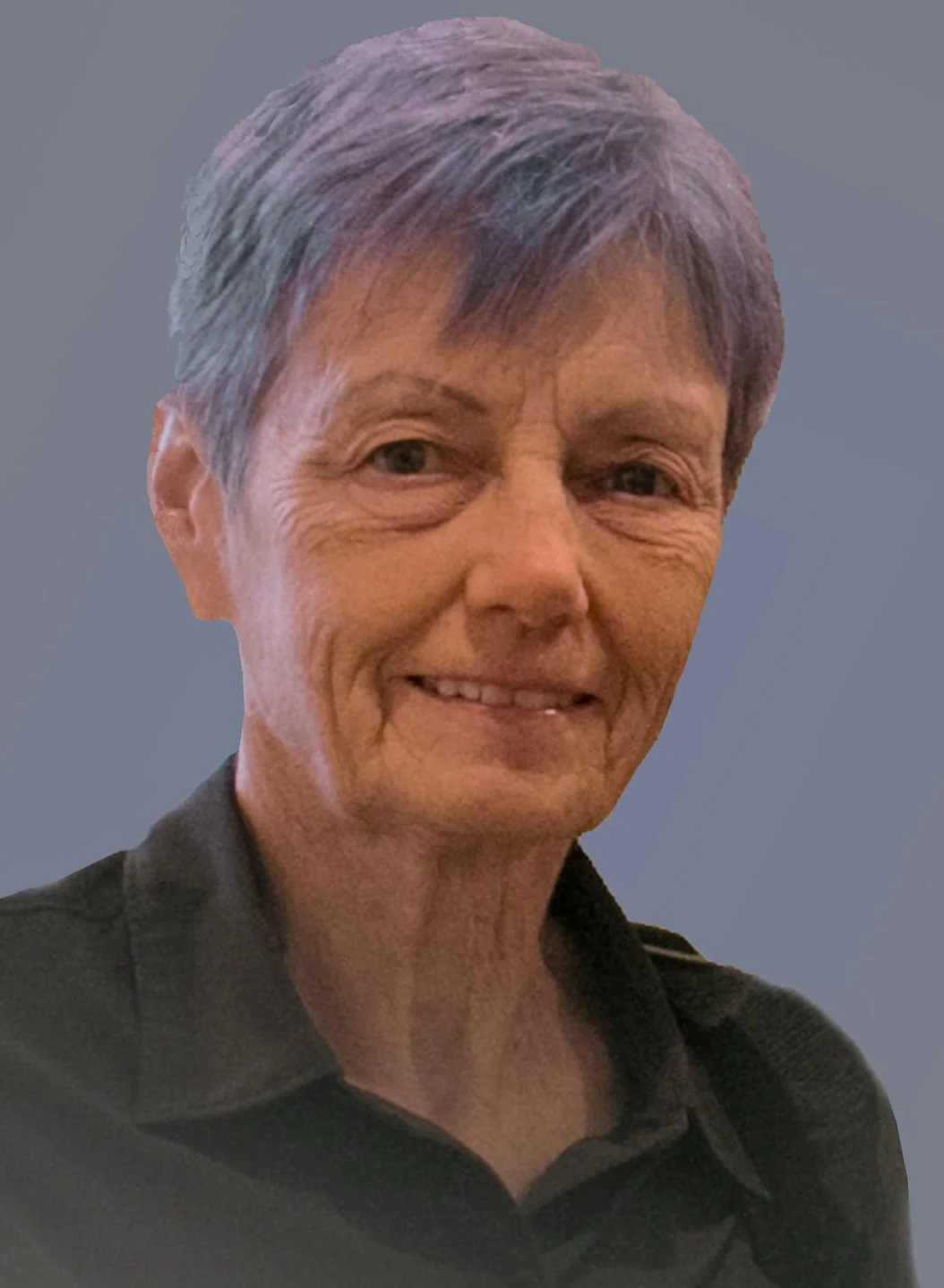 Board of Directors — San Fernando Valley Arts & Cultural Center