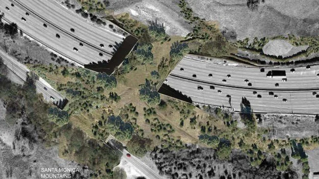 The plant nursery for the wallis Annenberg Wildlife Crossing — The ...