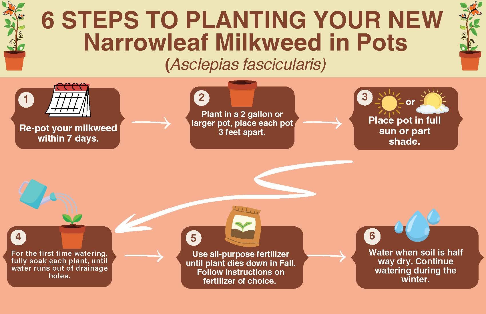 Milkweed — The Santa Monica Mountains Fund - Official NPS Partner