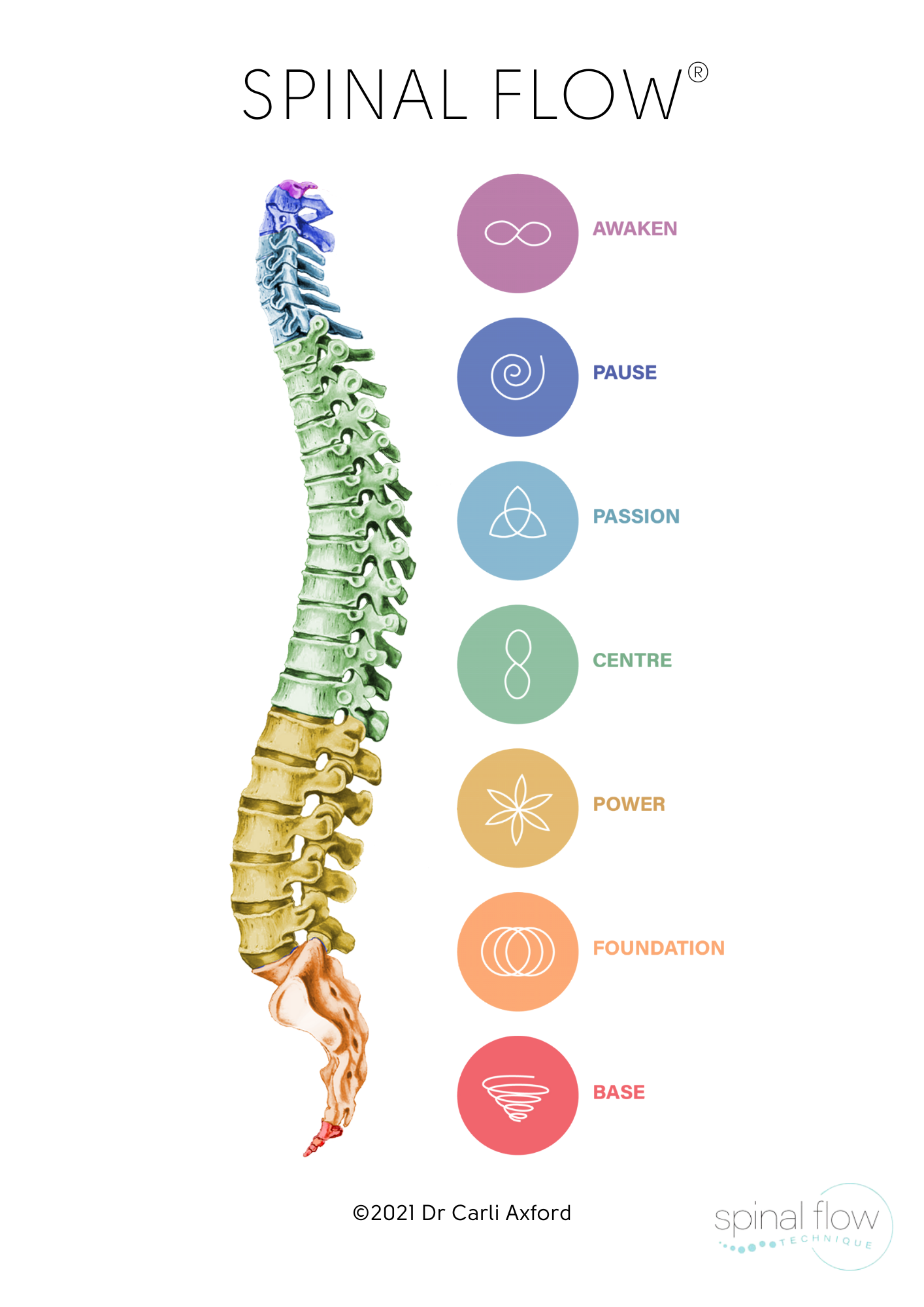 Spinal Flow® | Improve Well-Being Now - Book Your Session — My HealCode