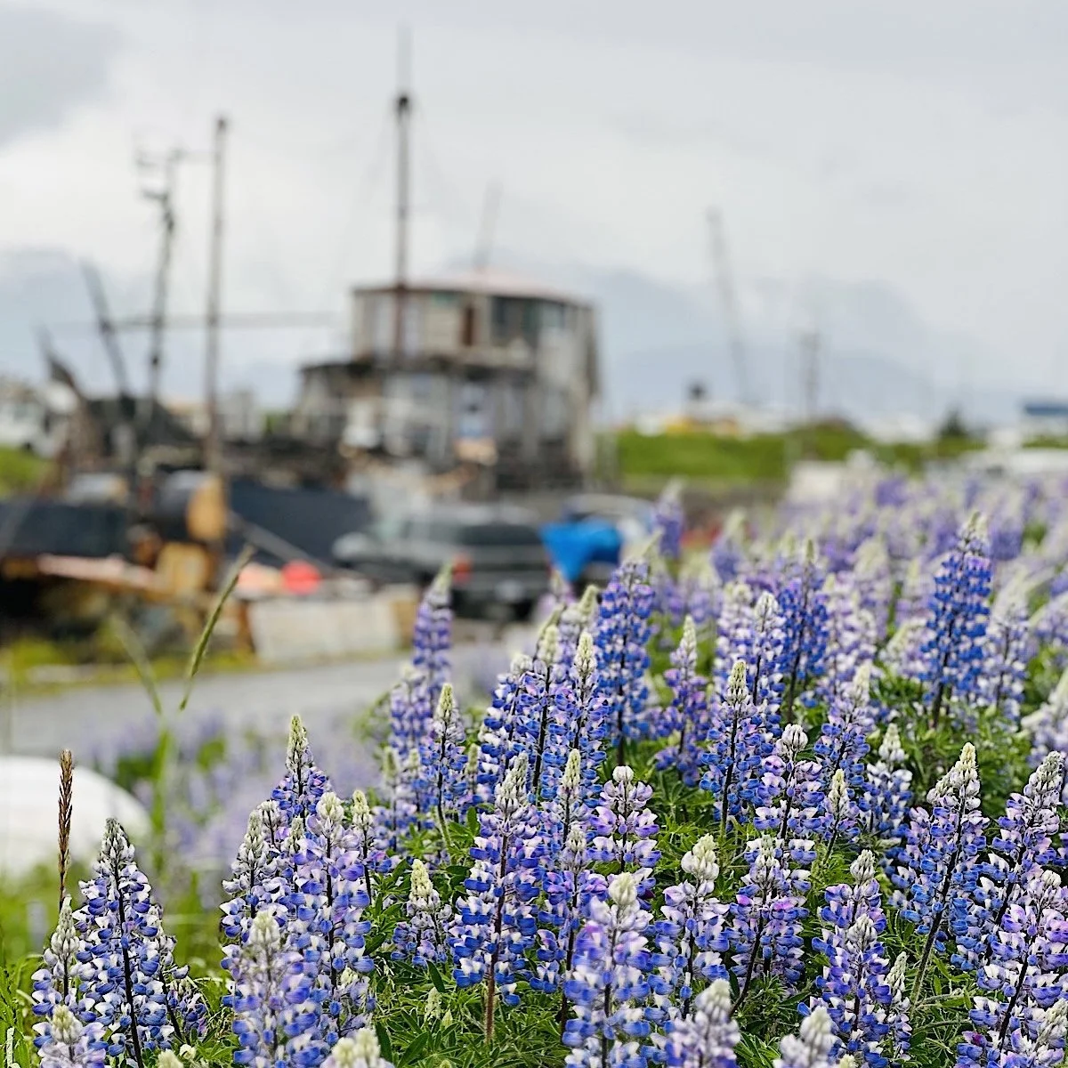 Match — Alaska Design Forum