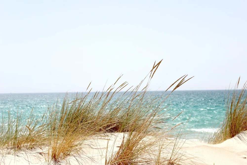 REEF INN Stay at a luxury hotel on the Isle of Tiree, Inner Hebrides ...