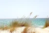REEF INN Stay at a luxury hotel on the Isle of Tiree, Inner Hebrides ...