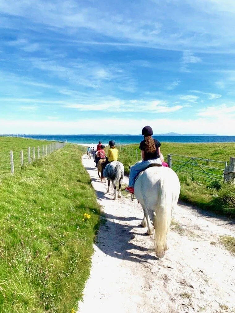 REEF INN Things to Do on the Isle of Tiree, Scotland — Reef Inn