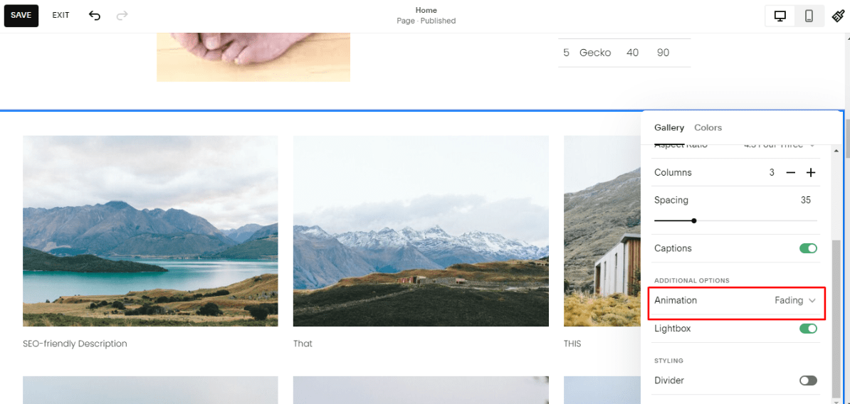 Light Up Your Images: Easy Squarespace Lightbox Tutorial