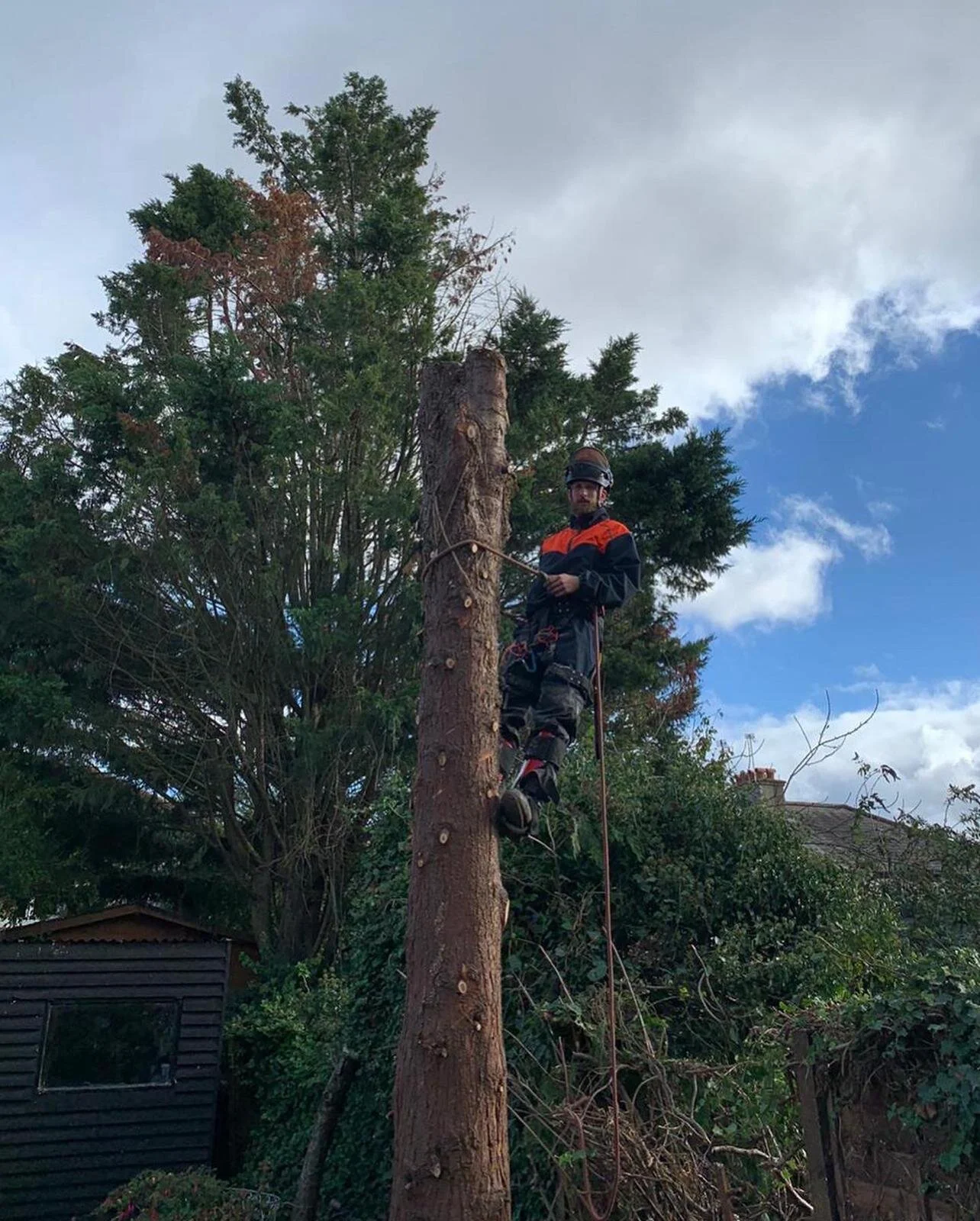 Wood Fellers - Tree Surgeon and Garden Service