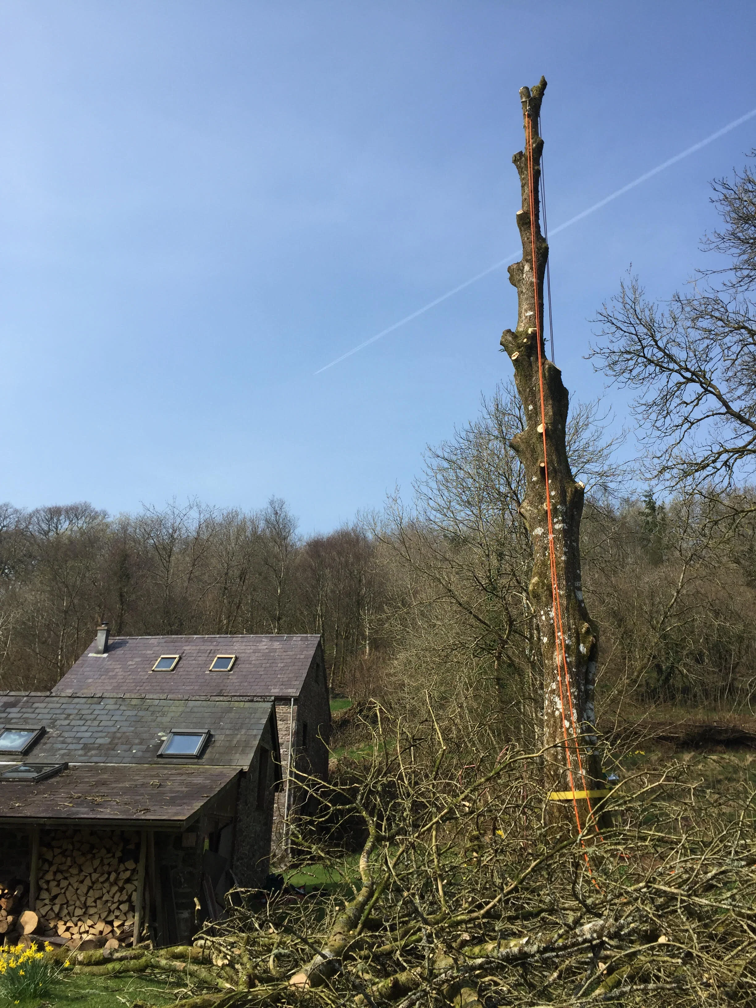 Wood Fellers - Tree Surgeon and Garden Service