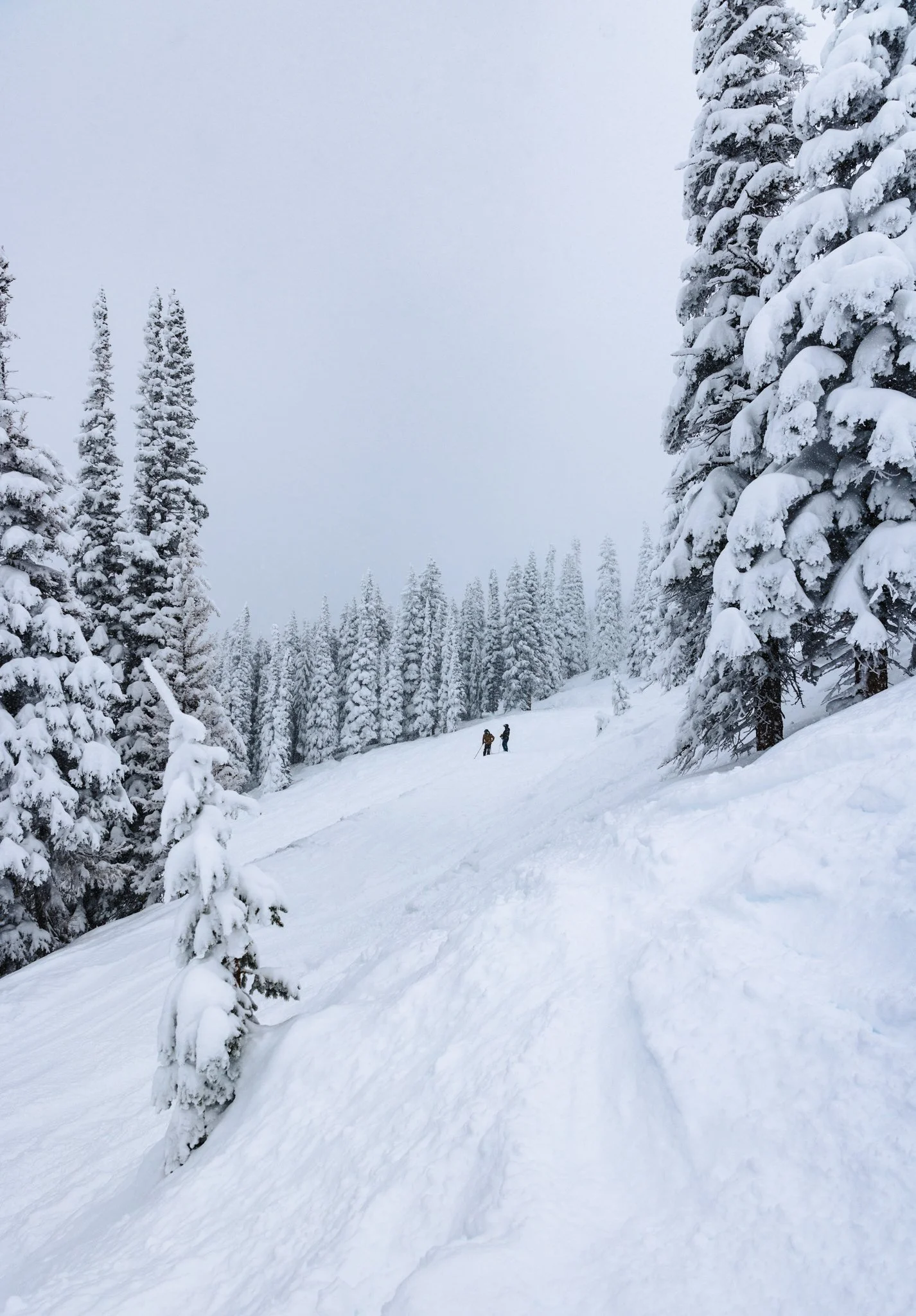 What Season ski pass should I buy?, Everything you need to know about ...