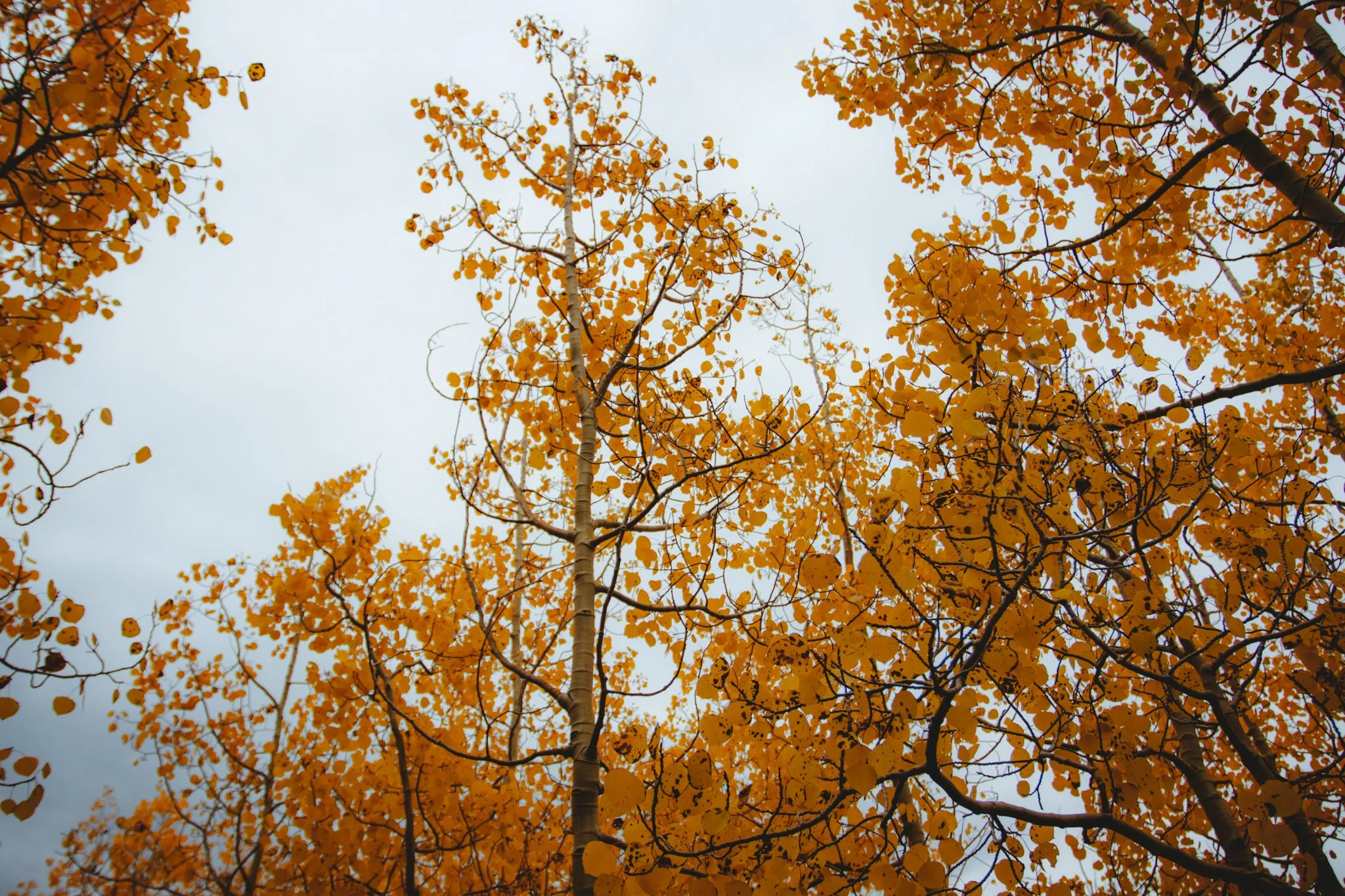 Breckenridge Colorado, The Ultimate Hiking Guide to Mohawk Lakes — The ...