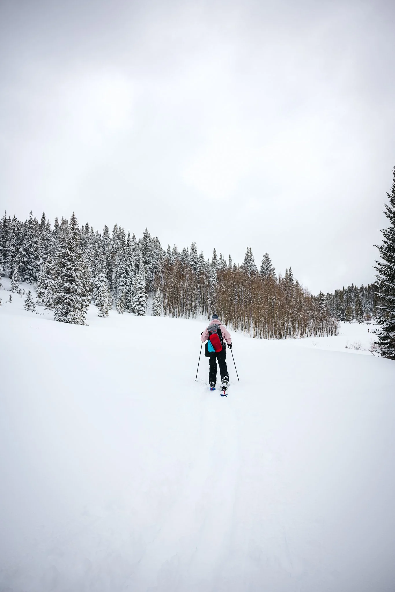 A Beginners Guide to your First Back country Hut Trip — The Outdoor Gems