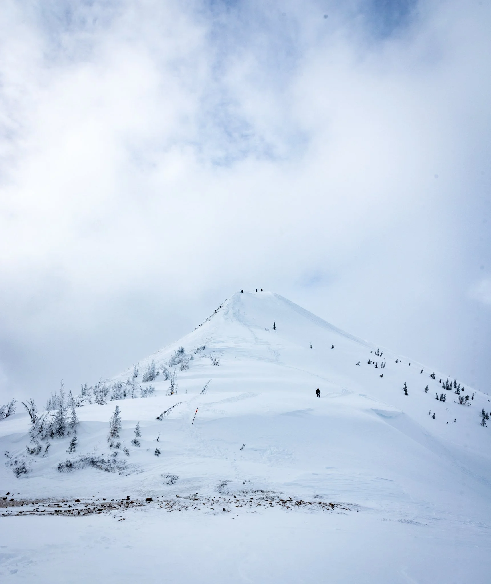 Everything to know about Wolf Creek Ski Resort, A complete Guide — The ...