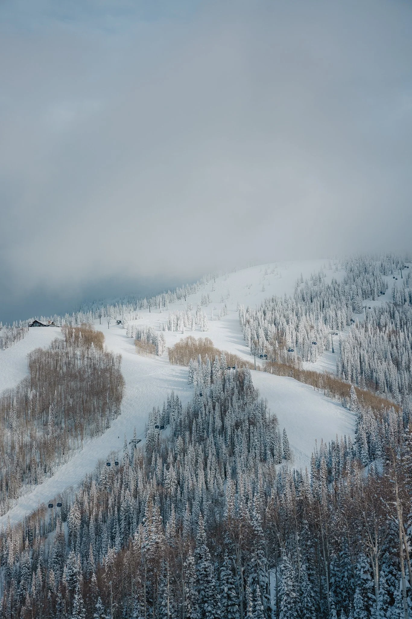 Everything to Know for a Trip to Steamboat Ski Resort — The Outdoor Gems