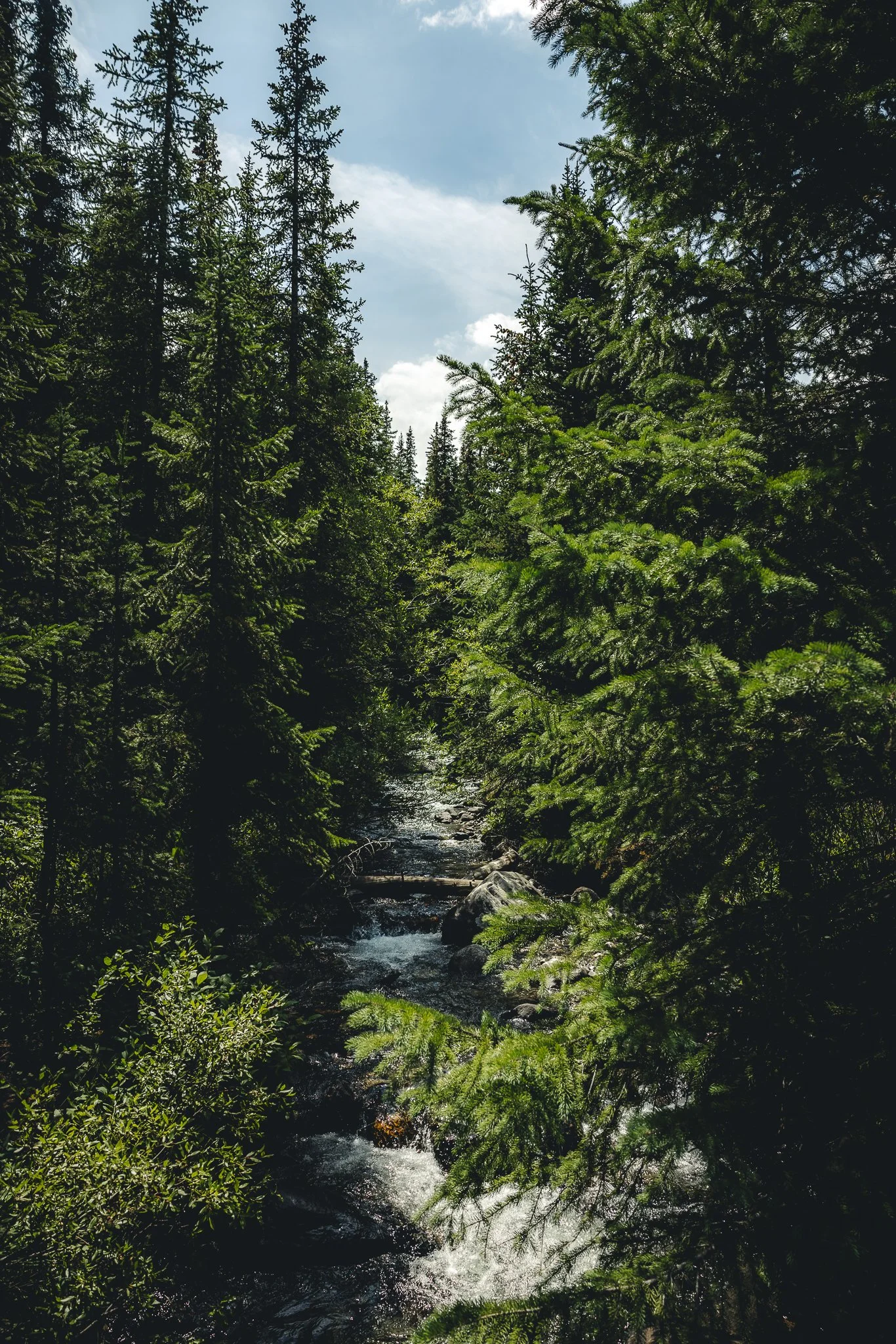 Breckenridge Colorado, The Ultimate Hiking Guide to Mohawk Lakes — The ...