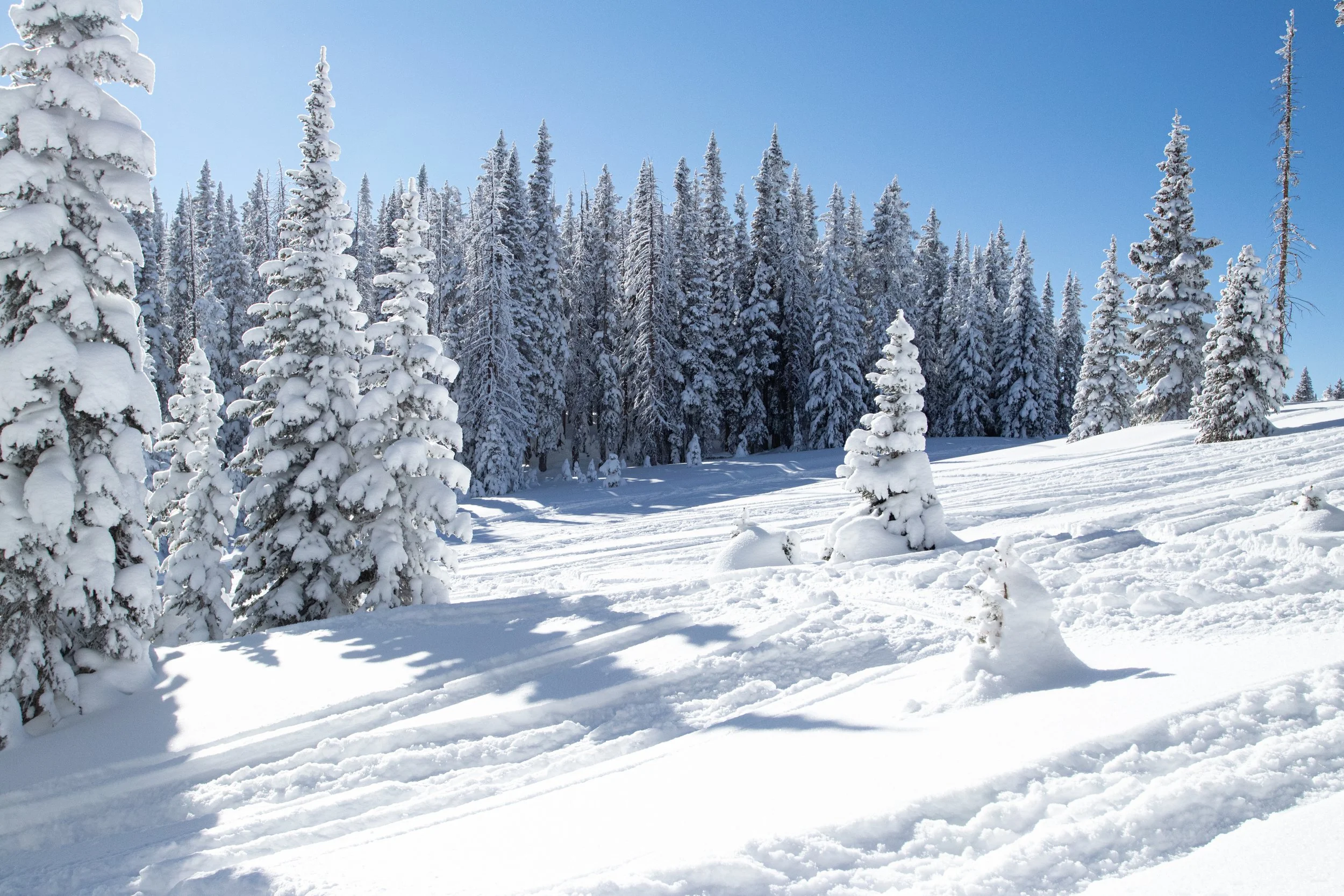 Everything to Know for a Trip to Steamboat Ski Resort — The Outdoor Gems
