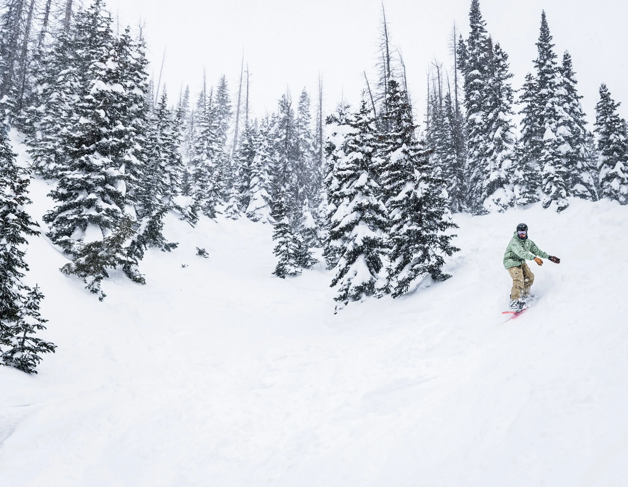 Everything to know about Wolf Creek Ski Resort, A complete Guide — The ...