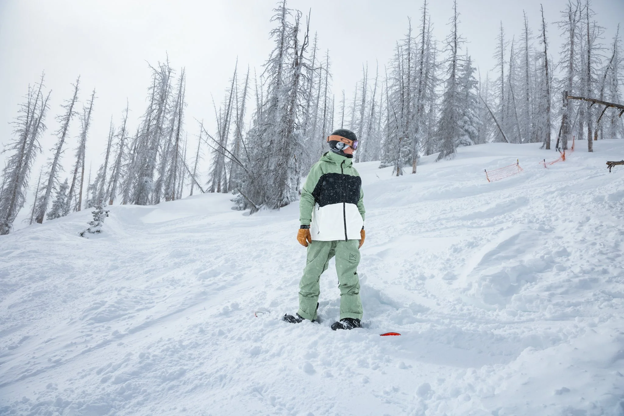 Everything to know about Wolf Creek Ski Resort, A complete Guide — The ...