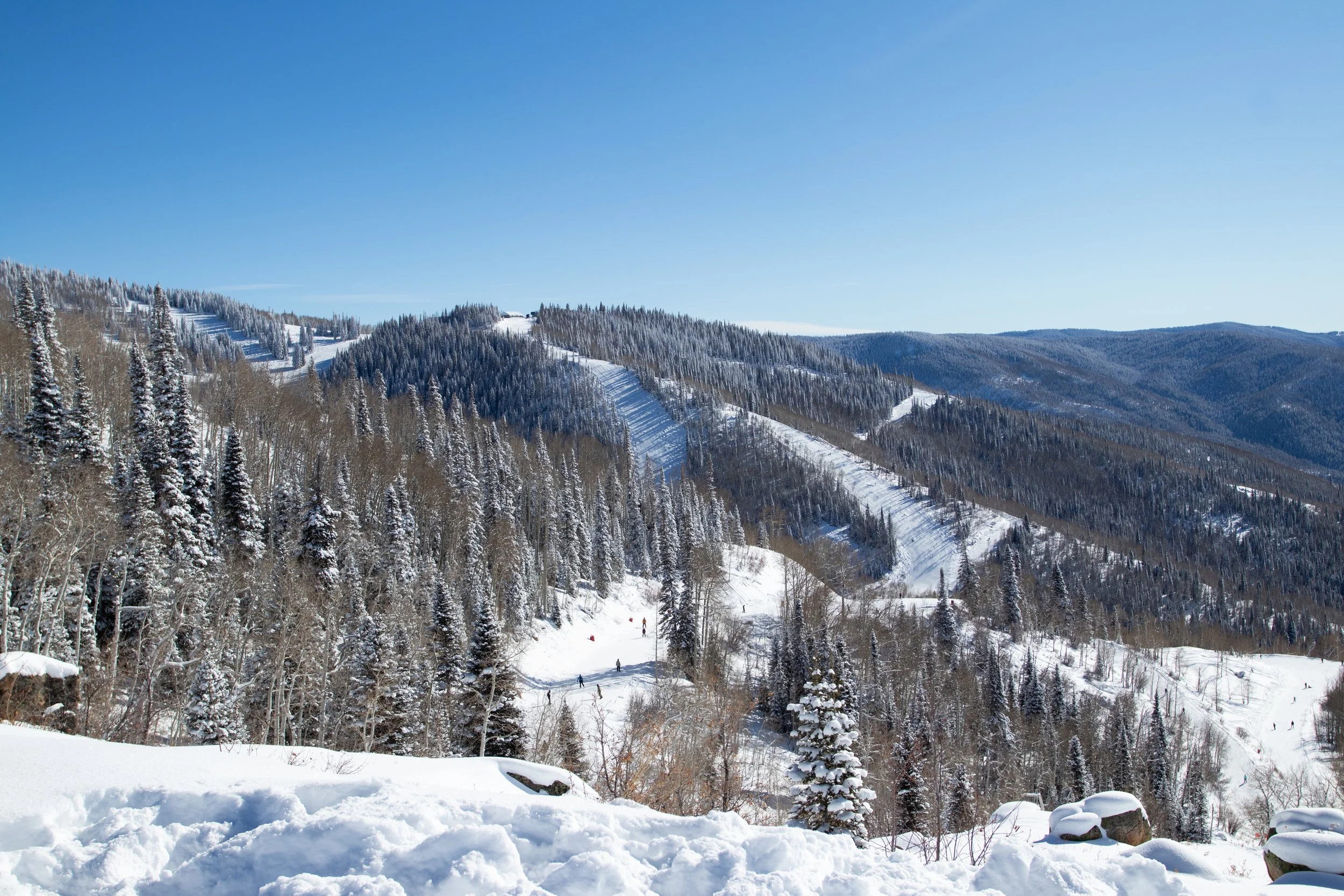 Everything to Know for a Trip to Steamboat Ski Resort — The Outdoor Gems