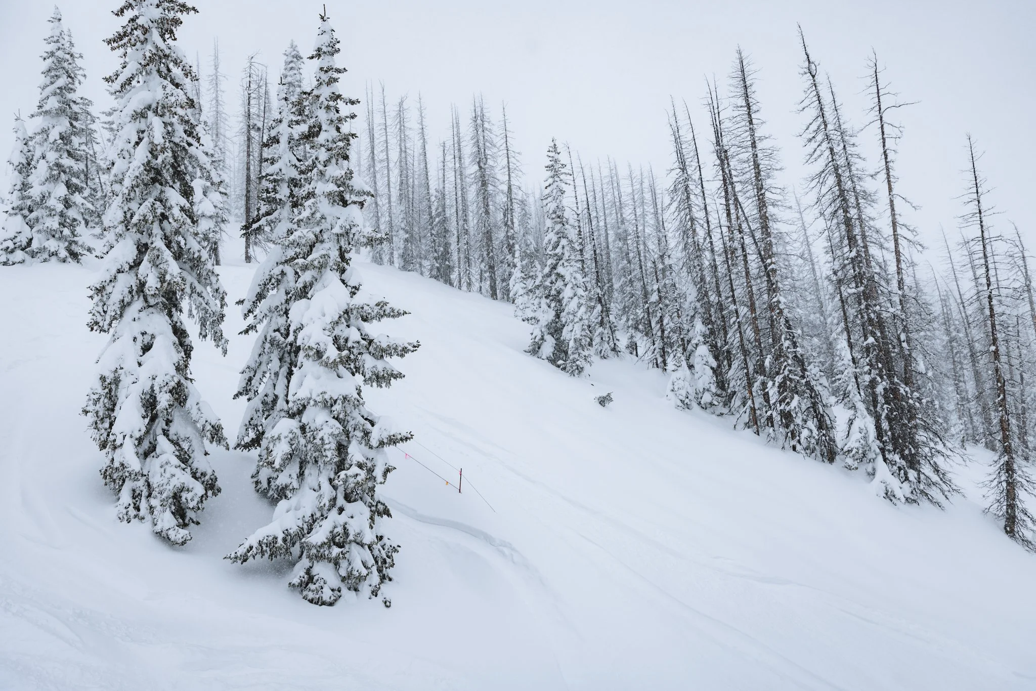 Everything to know about Wolf Creek Ski Resort, A complete Guide — The ...
