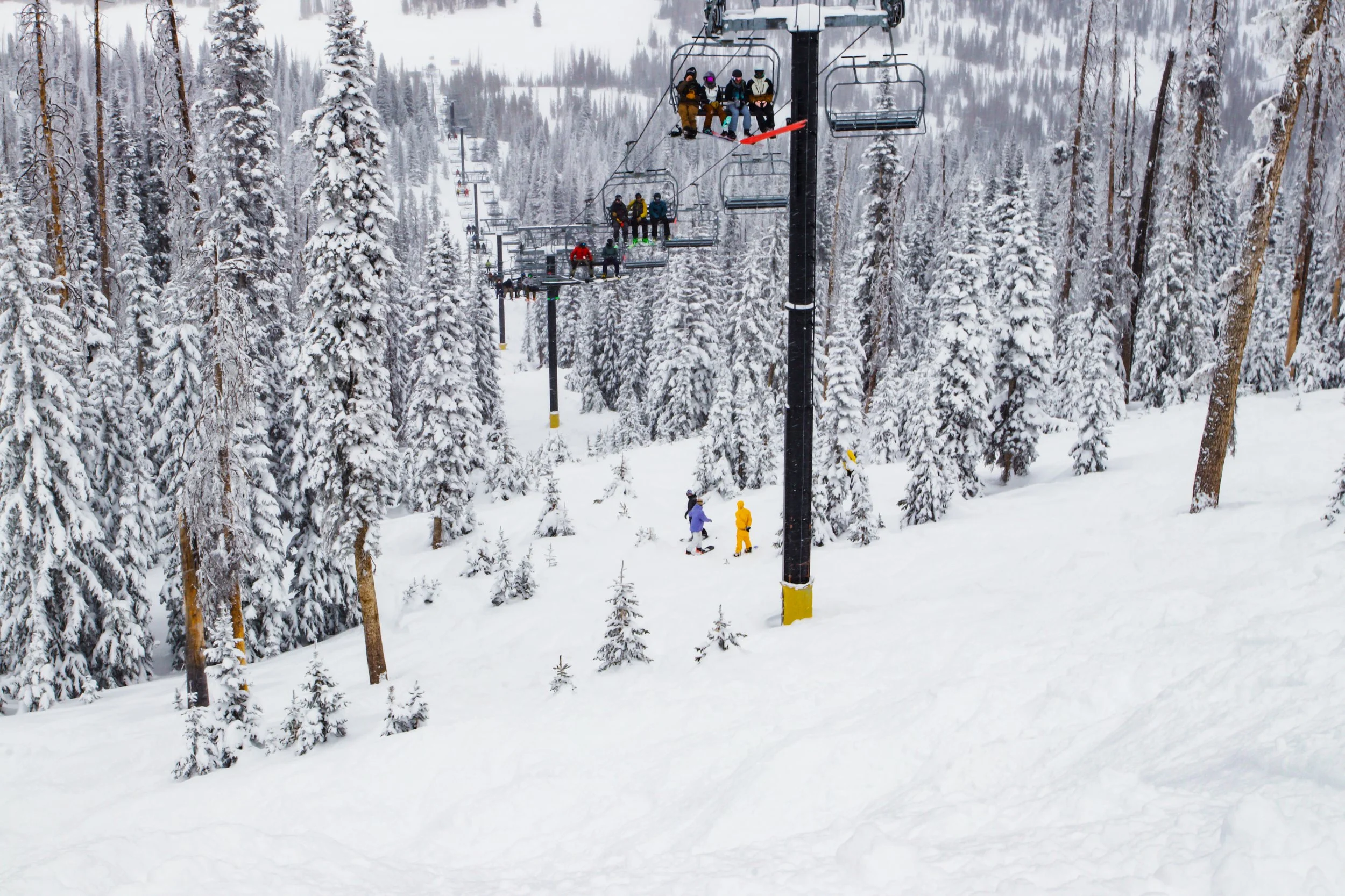 Everything to know about Wolf Creek Ski Resort, A complete Guide — The ...