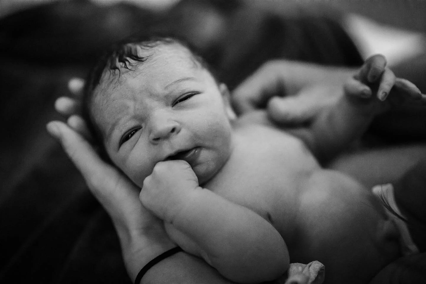 Elizabeth Fuqua, L.Ac. — Elizabeth Fuqua Acupuncture | Richmond VA