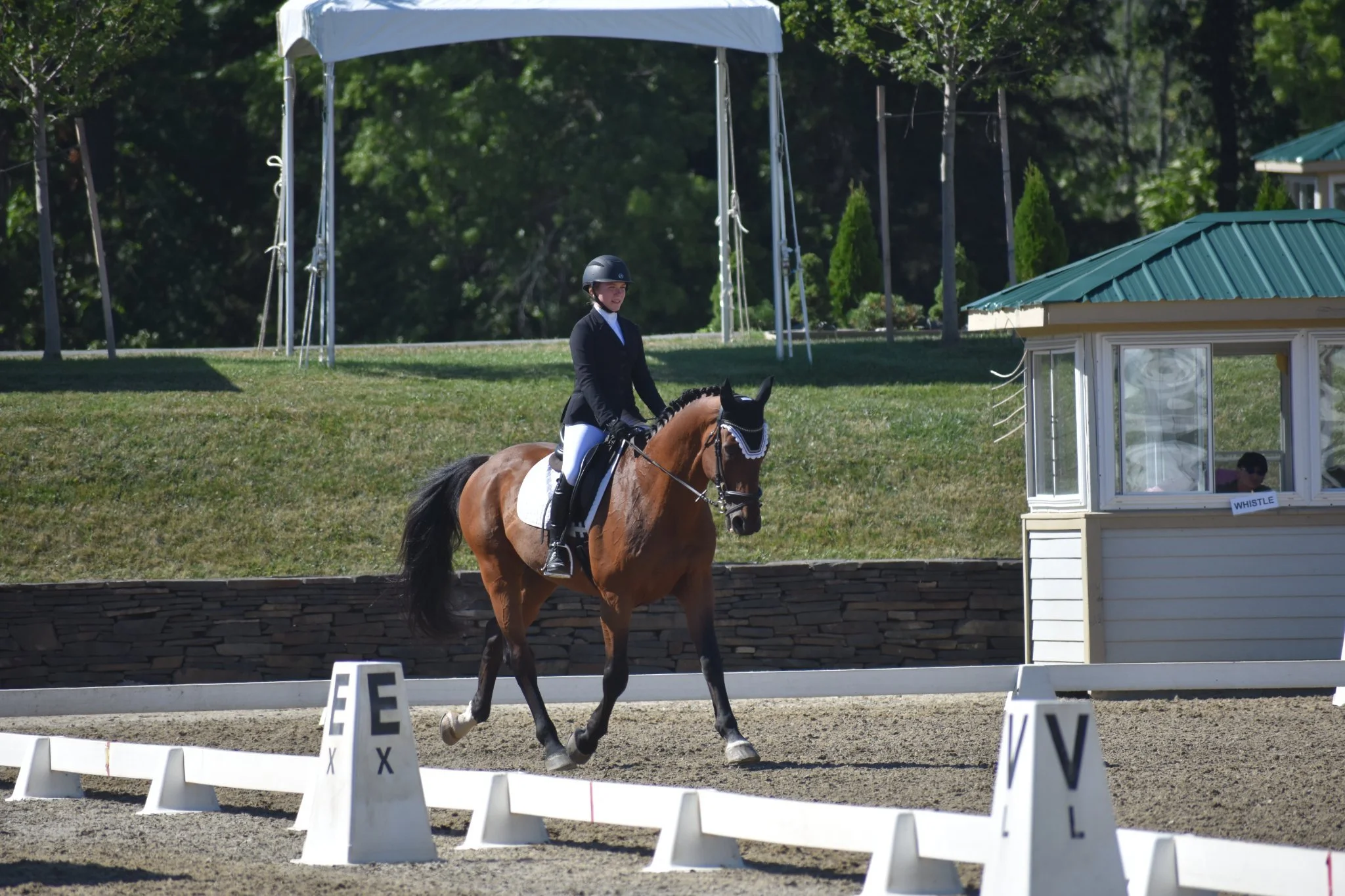 Summer Camp — Contry Hill Farm | Horse Riding Lessons and Summer Camp ...