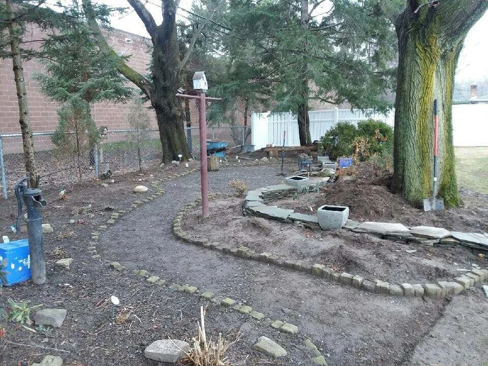 Gardening In Impossible Spots: How To Deal With Dry Rooty Soil ...
