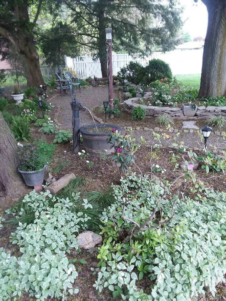Gardening In Impossible Spots: How To Deal With Dry Rooty Soil ...