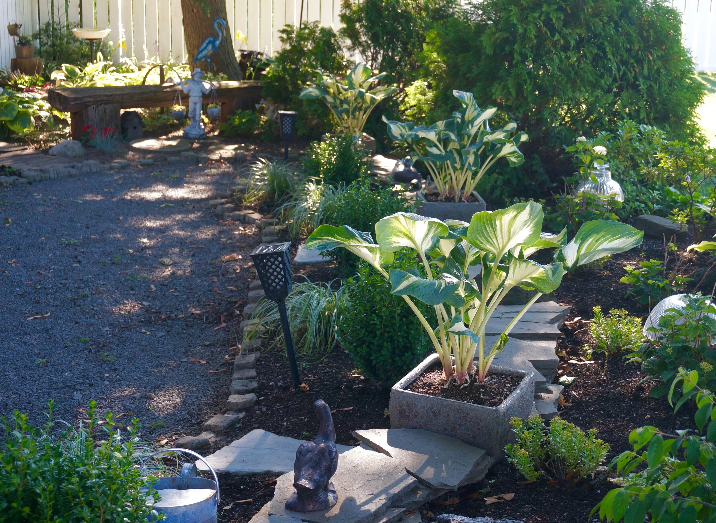 Gardening In Impossible Spots: How To Deal With Dry Rooty Soil ...