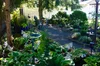 Gardening In Impossible Spots: How To Deal With Dry Rooty Soil ...
