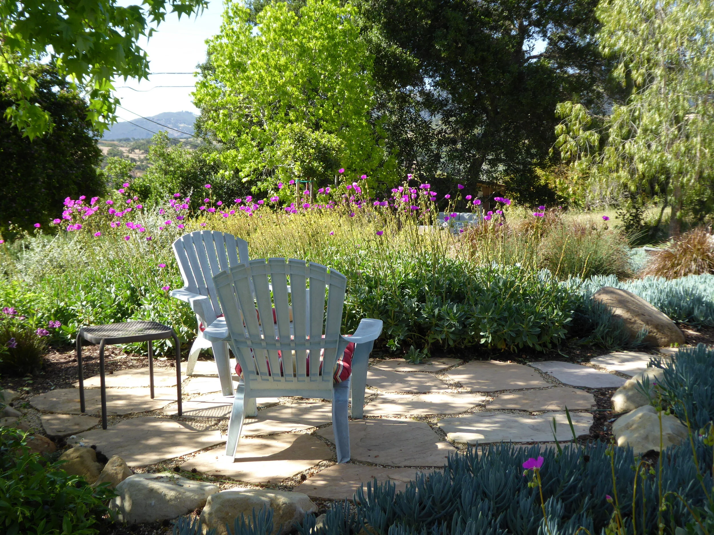 Lawn Replacement in Santa Barbara