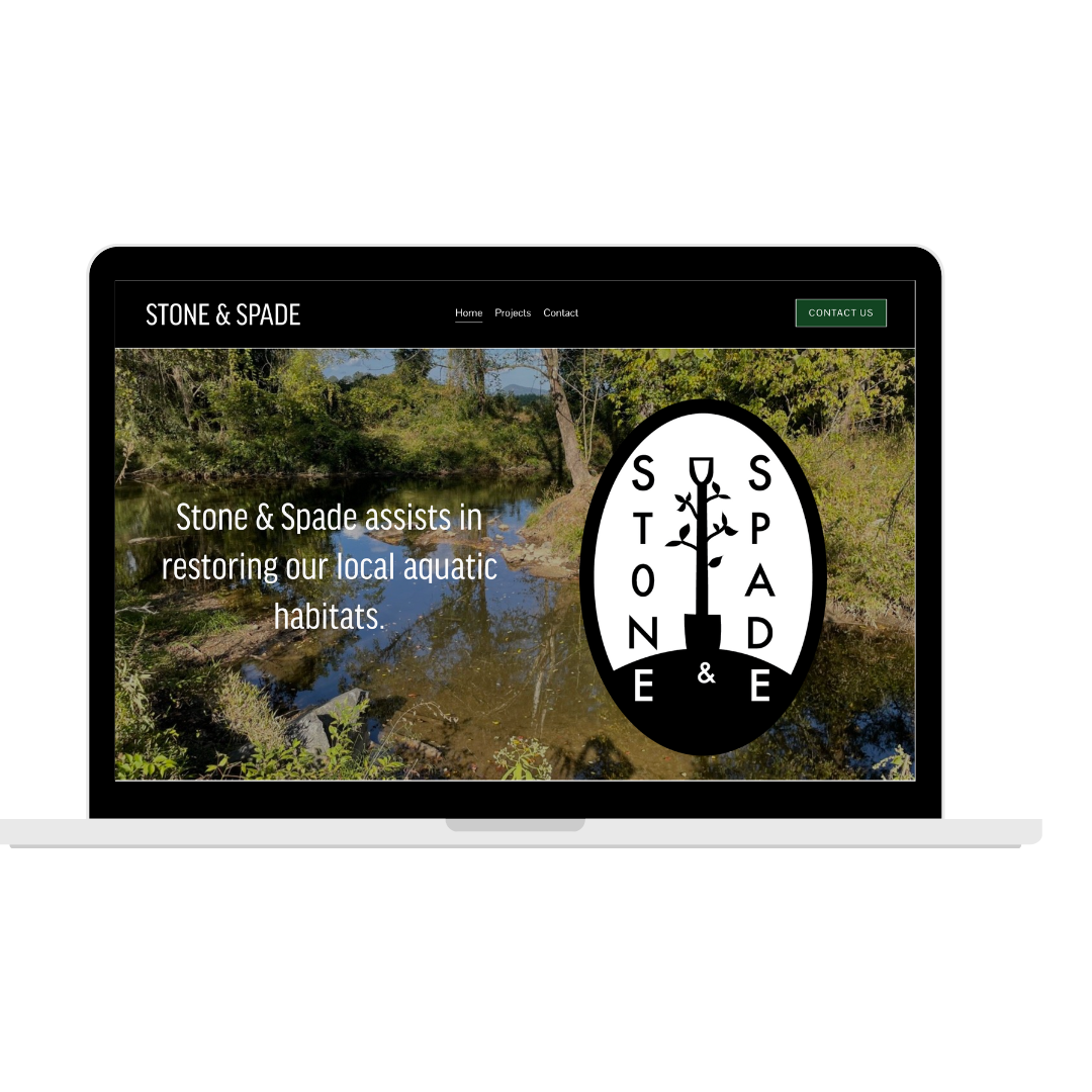 TM Designs - Squarespace Web Designer