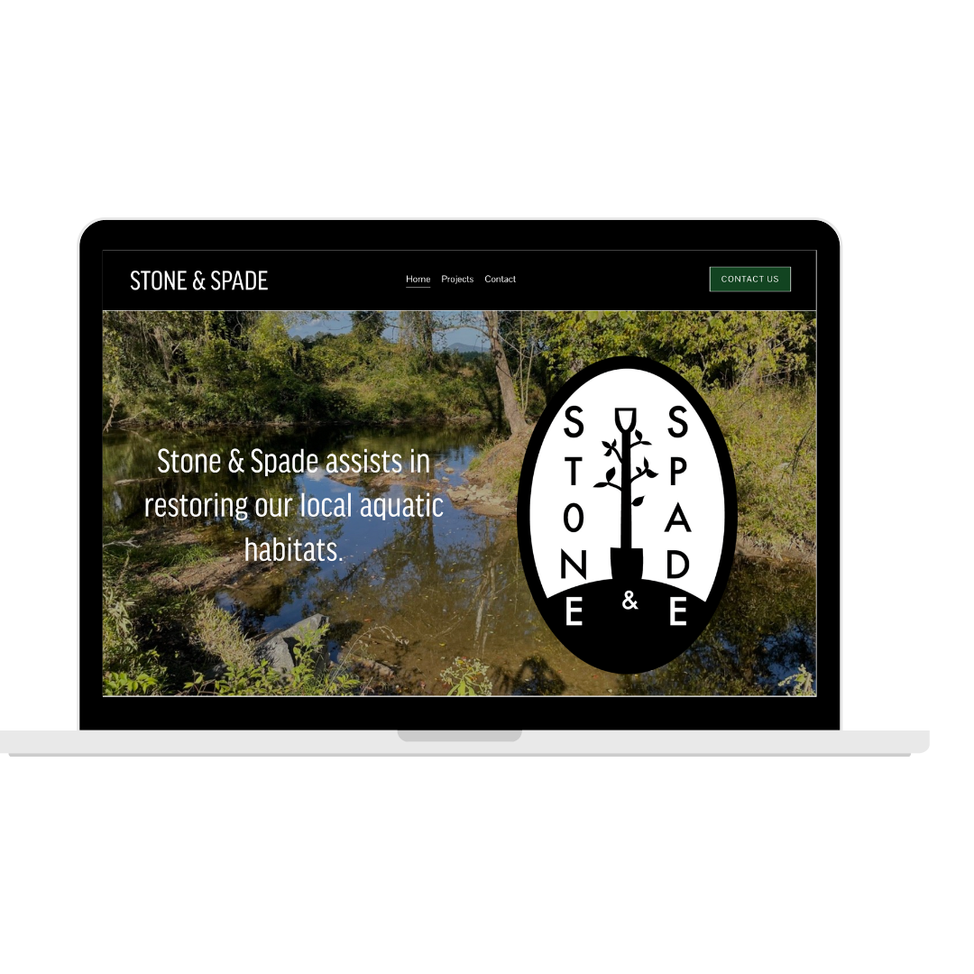 TM Designs - Squarespace Web Designer