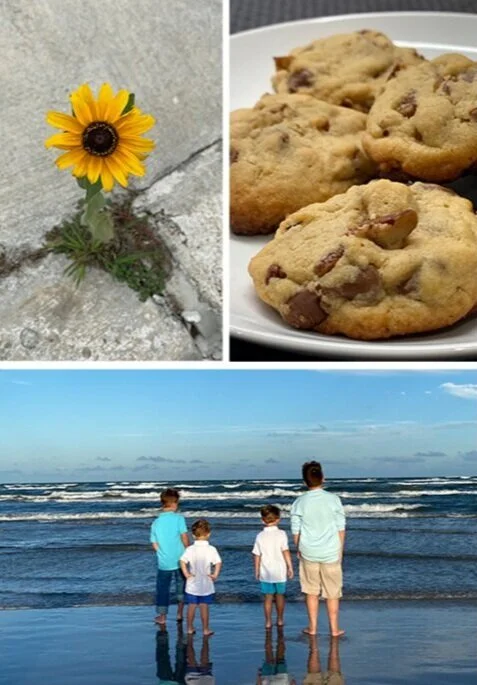 DESIGN APPROACH — WELL + DONE DESIGN