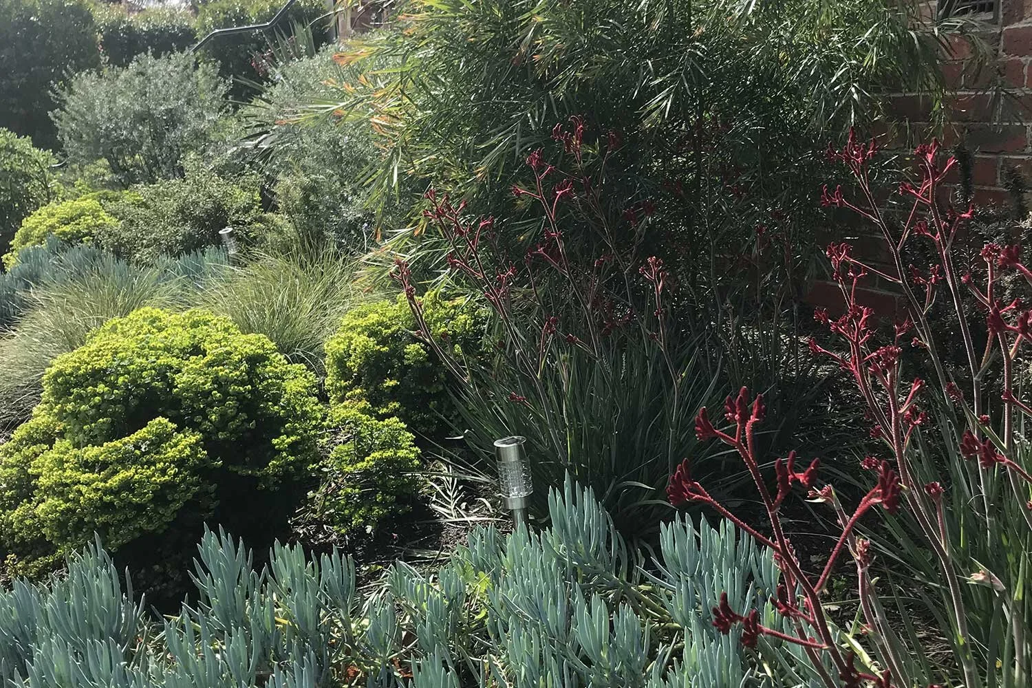 Growing Designs — Growing Small Urban Landscapes