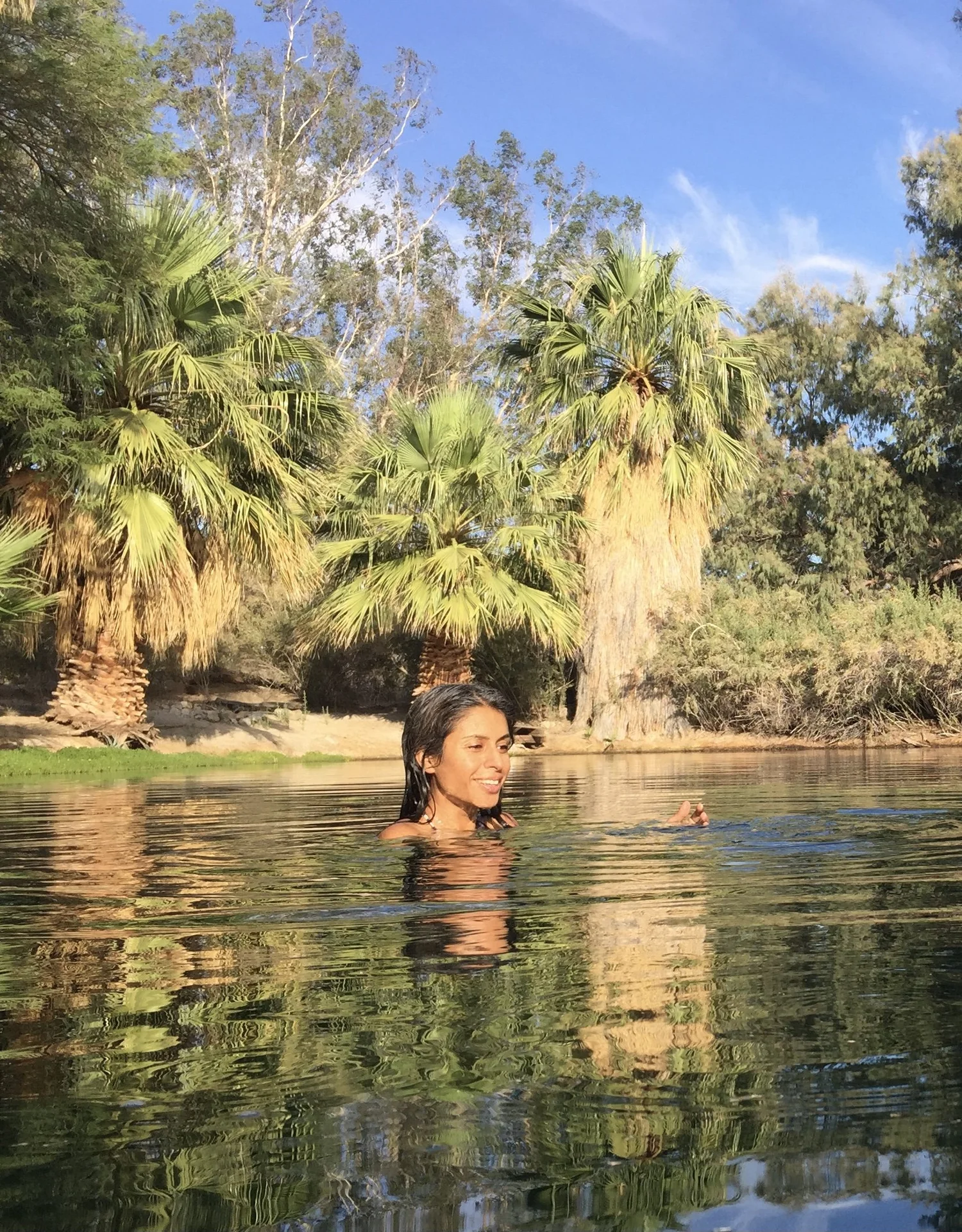 Root + Rise | Discover Inner Transformation — Rohini Walker