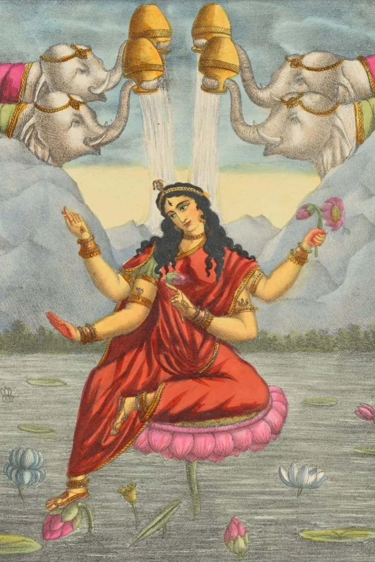 Blog 3 — Rohini Walker